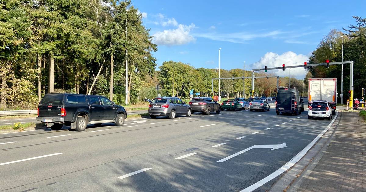 Kruispunt Houtlaan met ‘s-Gravenwezelsteenweg wordt heringericht: veiliger en vlottere ...