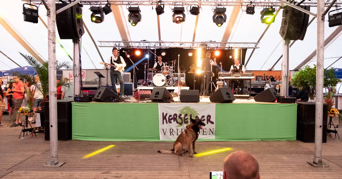 Kerselaer Kermis met optredens van Ronny Retro en Christoff organiseert ...