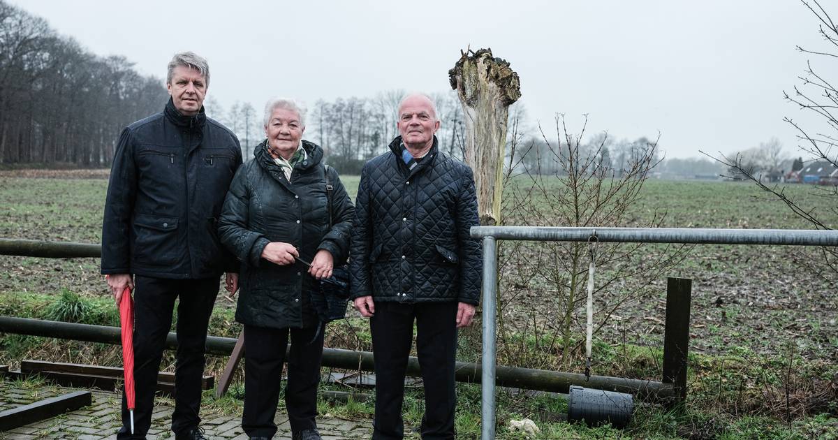 Het vergeten oorlogsdrama van Westendorp: ‘Er moet monumentje voor deze ...