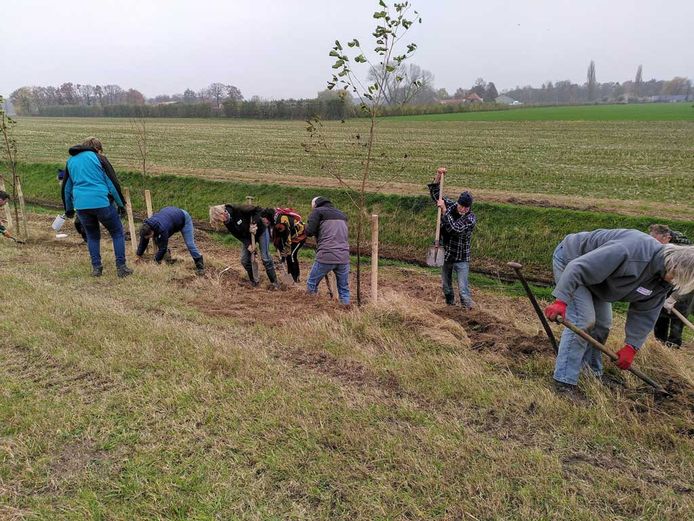 Gratis biologische krokusbolletjes voor inwoners van Deventer ...