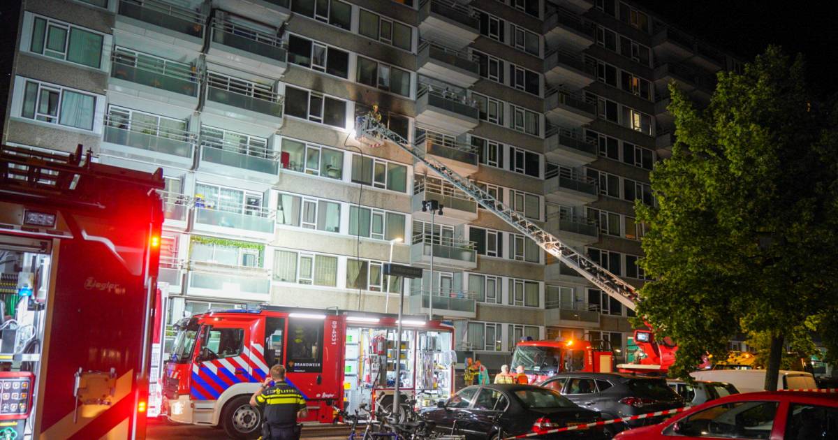 Vrouw komt om het leven bij brand in flat Overvecht | Utrecht ...