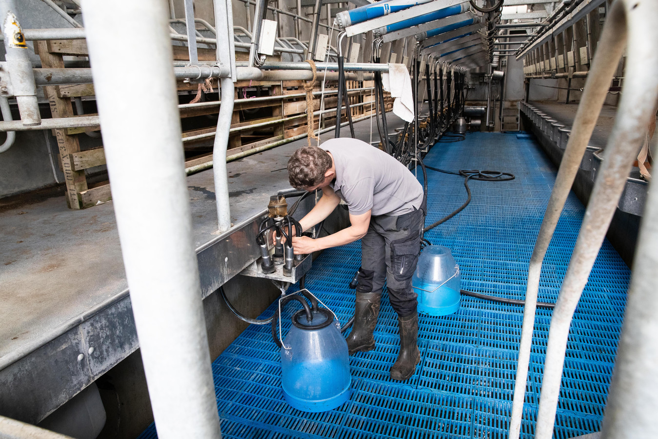 Zo romig als deze melk krijg je het nergens langs de IJssel: ‘Duidelijk ...