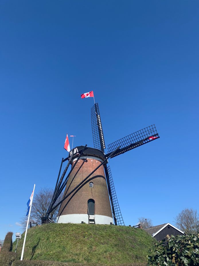 De vlaggen wapperen om 75 jaar vrijheid in deze onzekere tijd toch te ...
