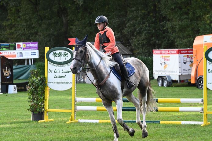 Van golden oldies tot jong talent tijdens het Hippisch Festijn Grave ...