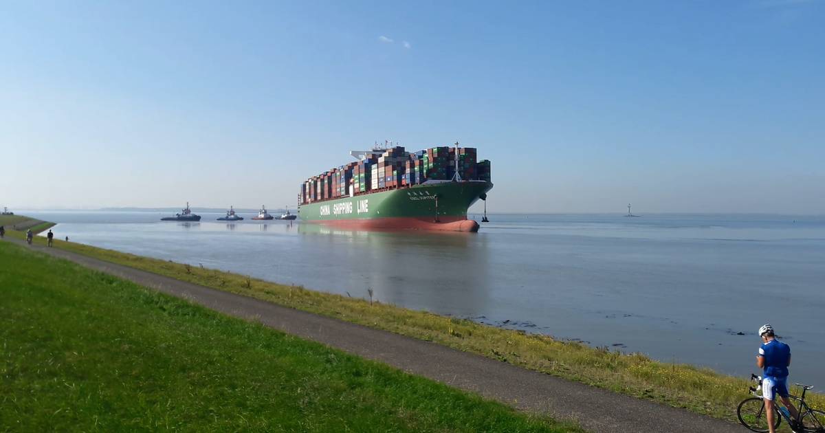 Enorm containerschip vastgelopen op Westerschelde | Binnenland | AD.nl