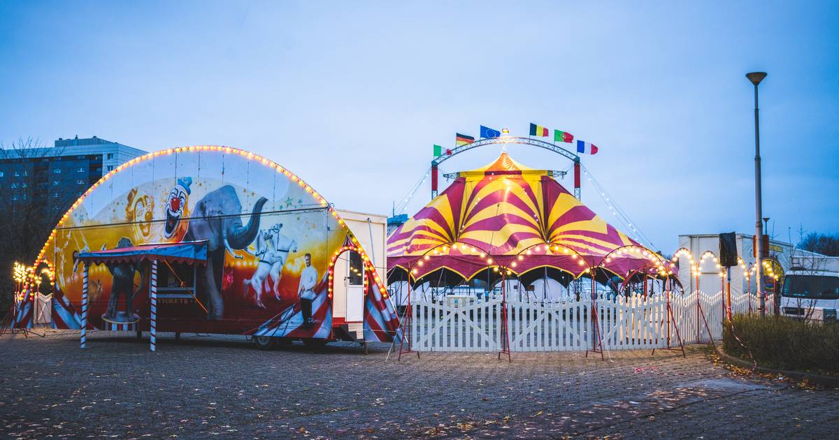 Circus Pipo slaat tenten op aan de Watersportbaan. “Maximum 199 mensen, en mét mondmasker ...