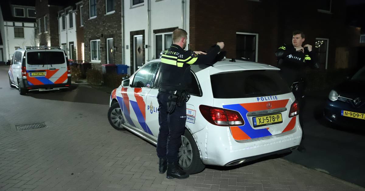 Overval in woonwijk Pijnacker, politie houdt twee verdachten aan | Pijnacker-Nootdorp | AD.nl