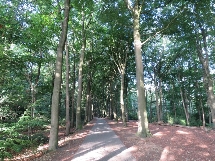 Werkdag in provinciedomein ’t Veld | Ardooie | hln.be