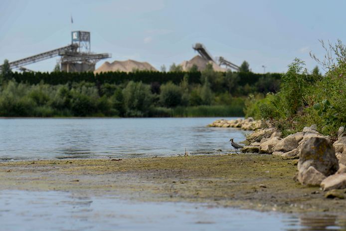 Zonnepanelen en drijvende eilanden op water Park Lingemeren | Buren ...