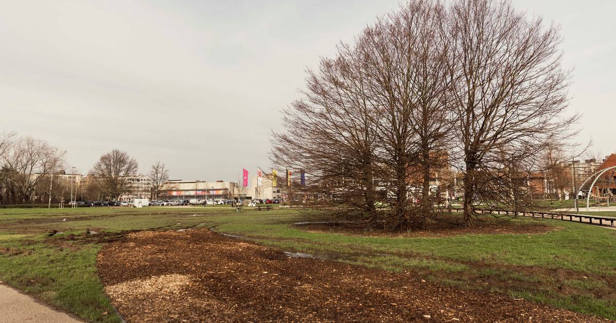 Uitbreidingswerken aan stadspark in Hasselt starten in maart: “Gedaan ...
