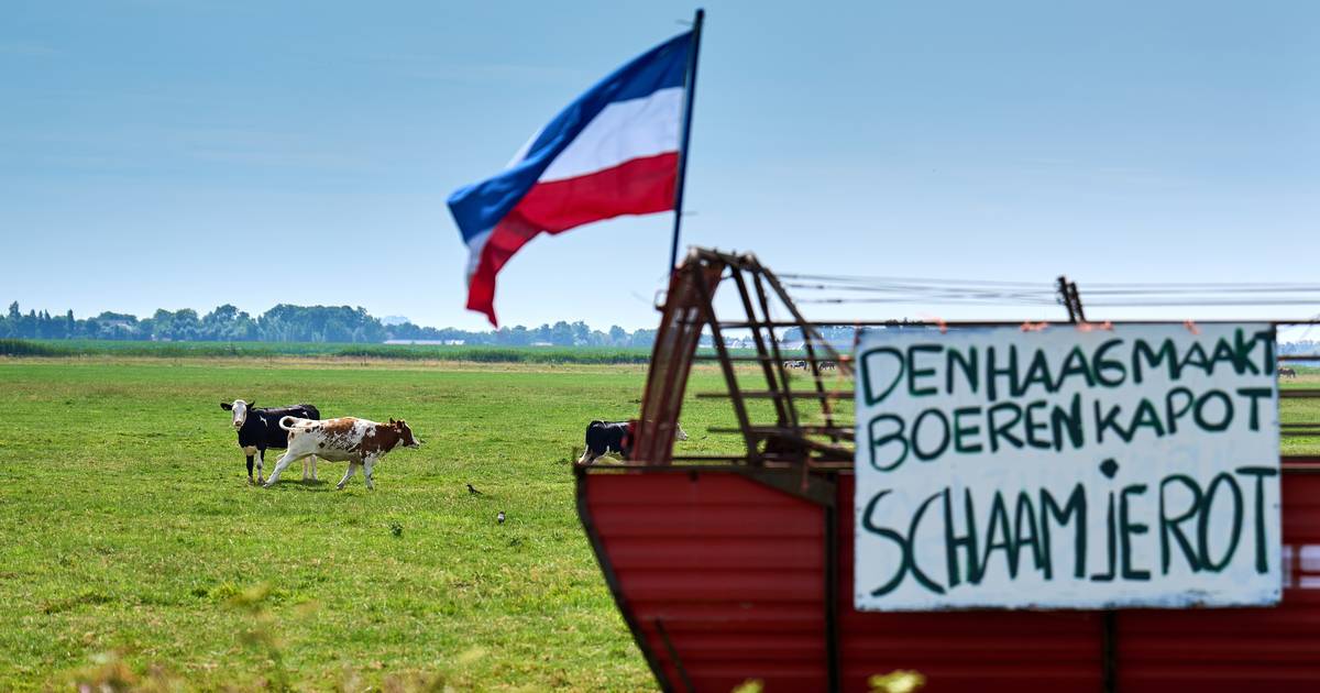 Boeren vaker met psychische klachten naar hulporganisaties door onzekerheid | Binnenland ...