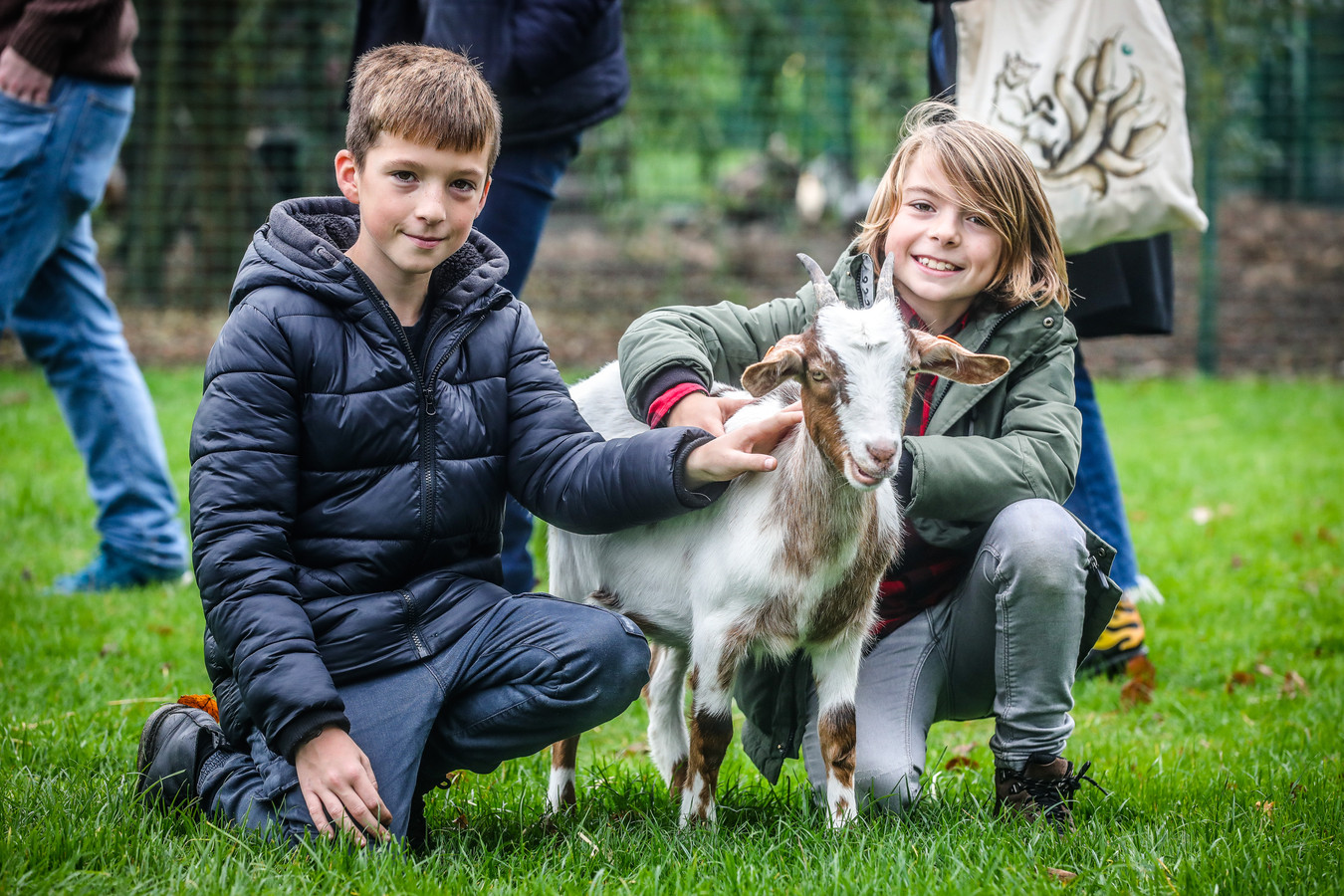 Kinderboerderij De Zeven Torentjes viert zijn 50ste verjaardag tijdens ...