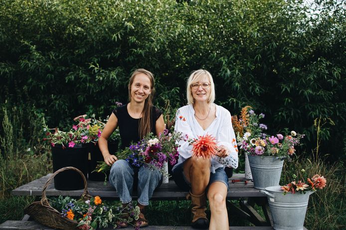 Het grootste bloemenveld van Vlaanderen heeft ze al en nu bundelt Lies ...