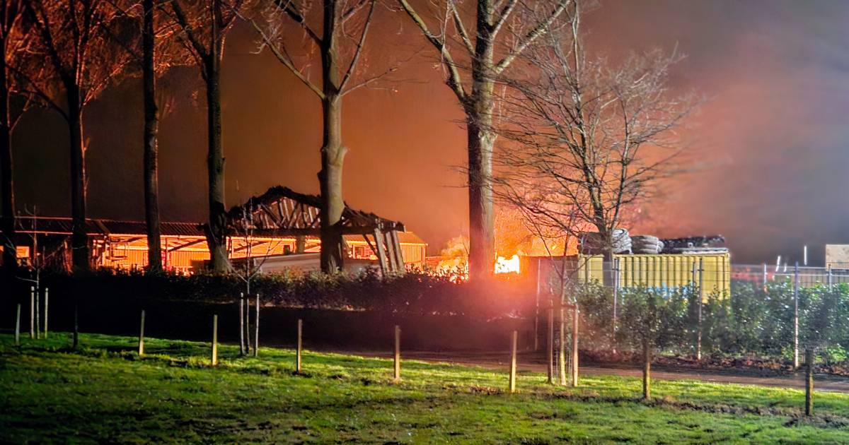 Brand legt schuur in de as in Gellicum | West Betuwe | gelderlander.nl