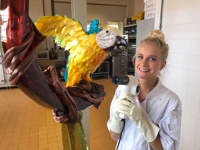 Janouk Kelderman gaat Klokhuis presenteren | Achterhoek | gelderlander.nl