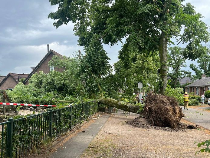 Tornado zorgt voor ravage rond Apeldoorn: caravan de lucht in, bomen ontworteld en compleet ...