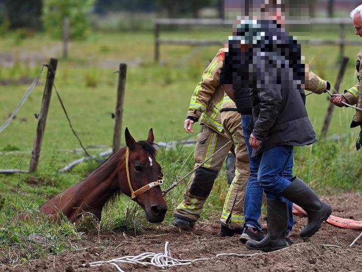 Plan E3 strand komt in Eerselse politiek | Eersel | ed.nl