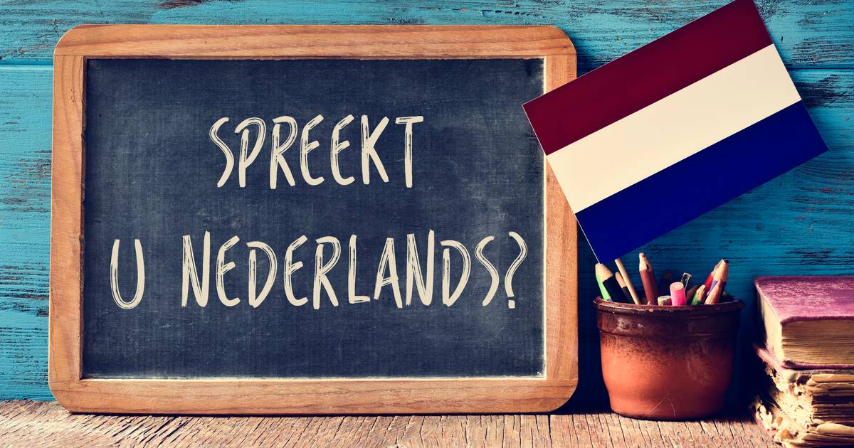 Hoe goed ken jij de Nederlandse moedertaal? Test je kennis | Binnenland ...