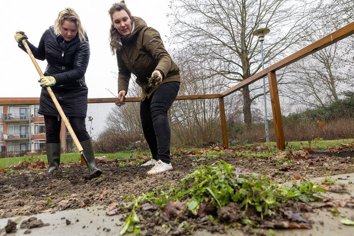 Het is weer NLdoet: even je handjes laten wapperen, bijvoorbeeld in ...