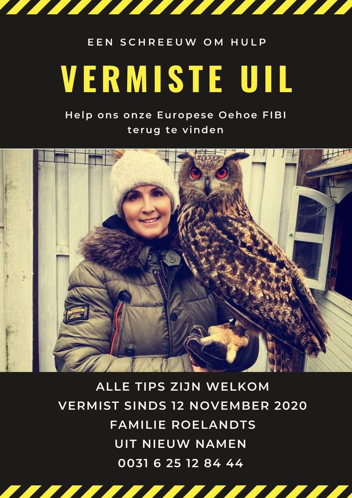 Uil Fibi uit Nieuw Namen al twee weken vermist: ‘Kijk alsjeblieft goed ...