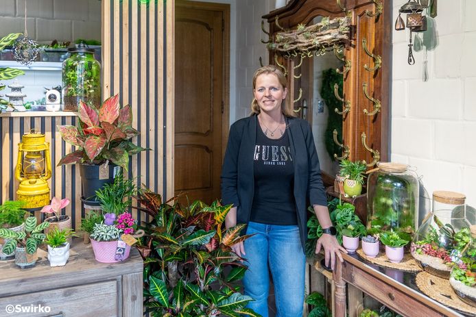 NET OPEN ‘Terrariums by Evi’ is nu winkel in de Botermelkstraat: “Naast ...