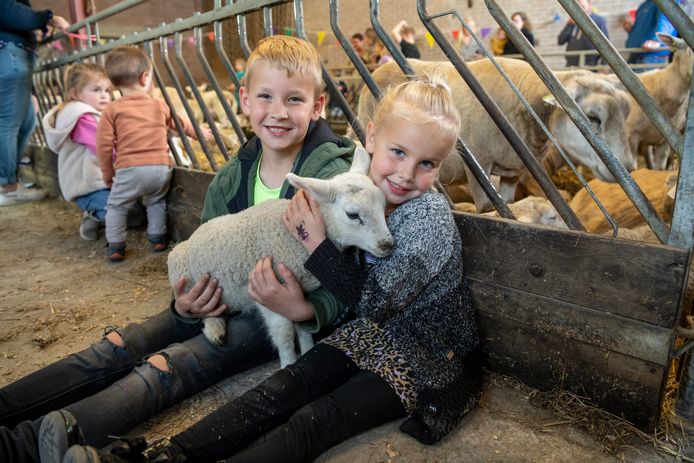 Lammetjes aaien, bier drinken, concert bezoeken: genoeg te doen tijdens ...