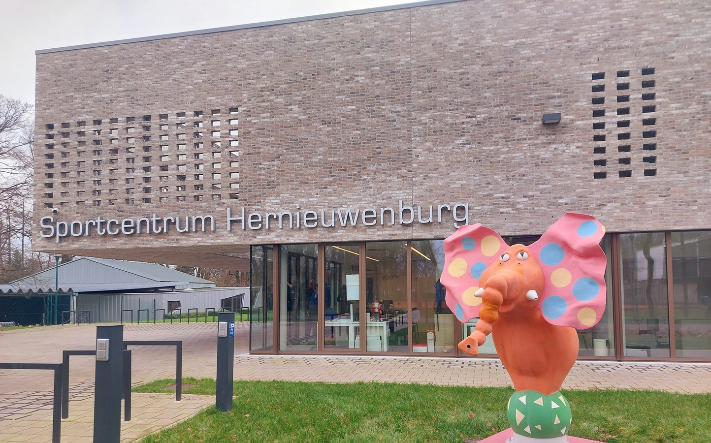 Een oude bekende duikt op aan het nieuwe sportcentrum... | Foto | hln.be Een oude bekende duikt op aan het nieuwe sportcentrum... | Foto | hln.be