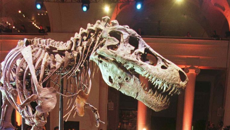 Opgraving T-rex voltooid | De Volkskrant