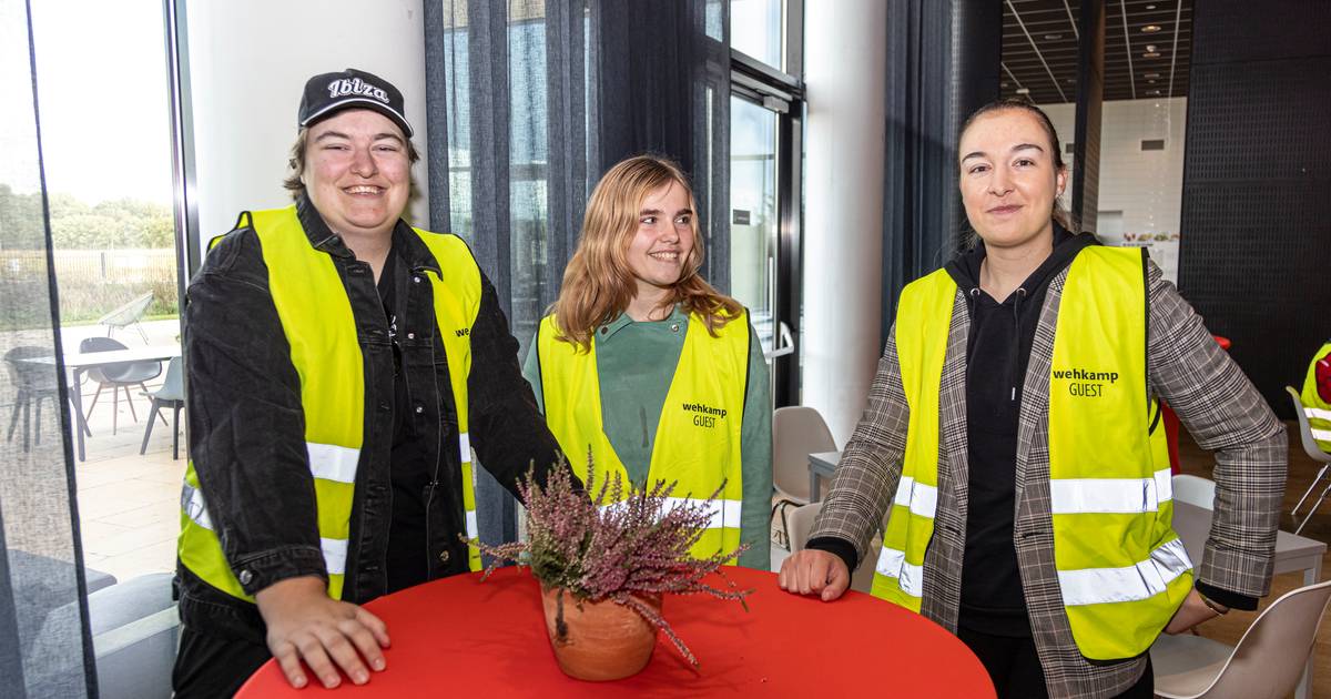 Sneakers uit, kisten aan: zo probeert Wehkamp in Zwolle buzz te creëren ...