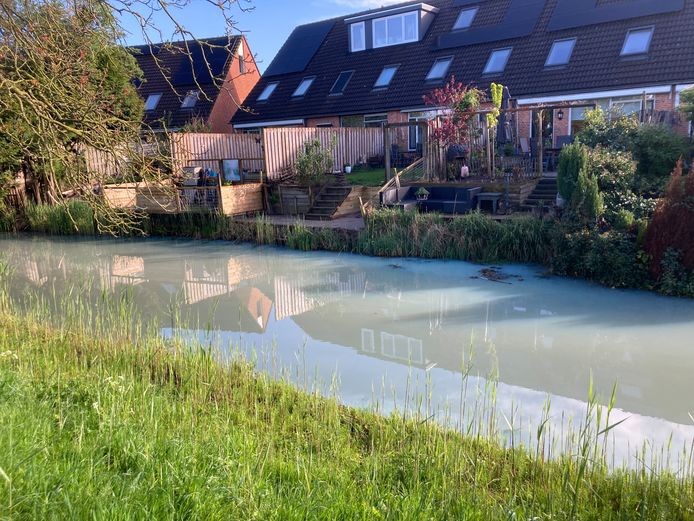 Vermoedelijke lozing van witte verf in Zwolle zorgt voor verkleuring ...