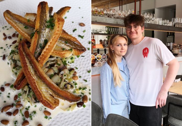 RESTOTIP. NOEK in Veurne: “Dagverse lunch in knus interieur” | Veurne | hln.be