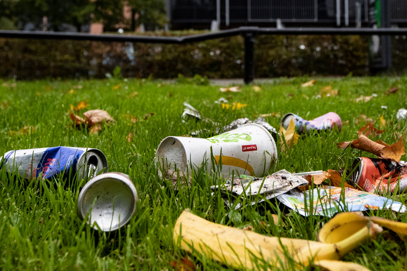 Aanpak van zwerfafval is mislukt: tientallen miljoenen helpen niet om ...