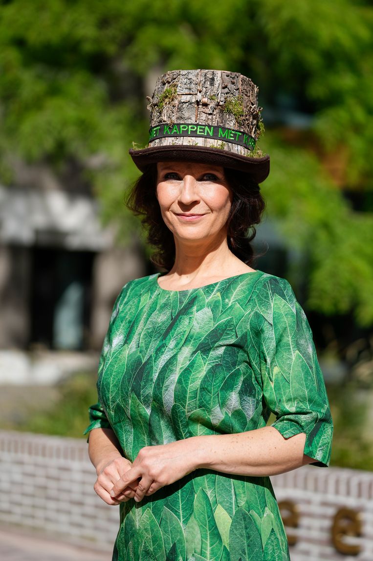 Hoe de sobere Prinsjesdag toch een pronkdag werd | De Volkskrant