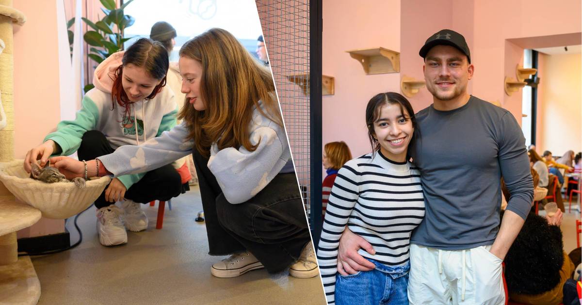 NET OPEN. Tim (25) en Safa (20) hebben het eerste kattencafé van ...