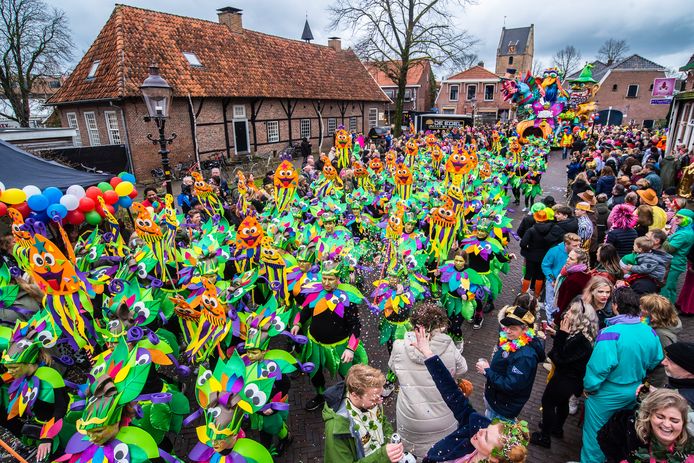 Kleurrijke carnavalsoptocht gaat door Losser: dit zijn de winnaars ...