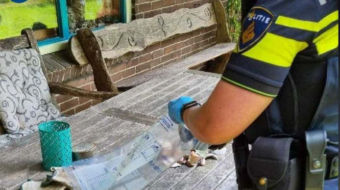 Wandelaar vindt schedel op strandje langs de Rijn: NFI doet onderzoek ...
