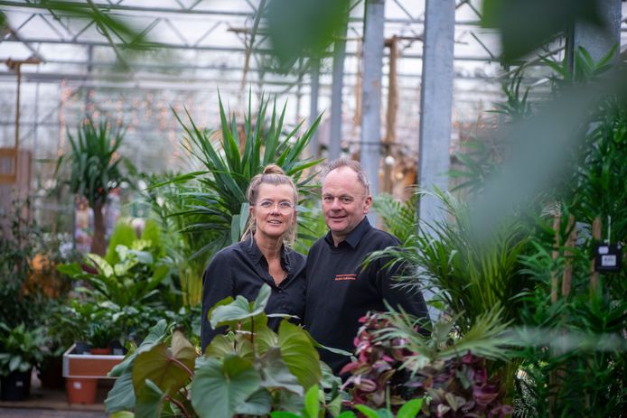 Gerben en Ria sluiten hun geliefde tuincentrum in Nijverdal: ‘Met pijn ...