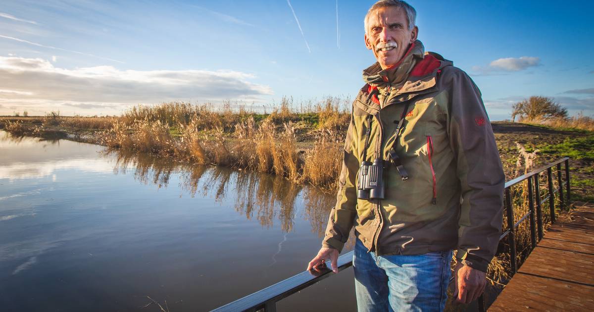 Vogels spotten in vogelkijkhut ‘De Zeemol’ | Hoeksche Waard | AD.nl