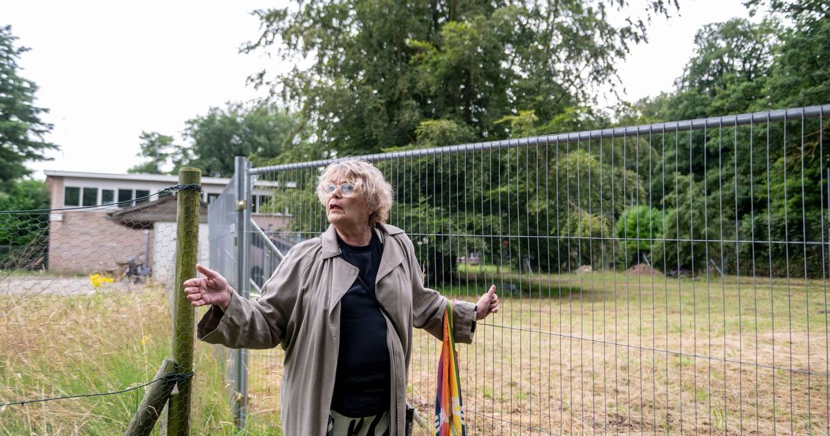 Lies (71) doet dringende oproep: ‘Almelo mag laatste kans om gruwelijk ...