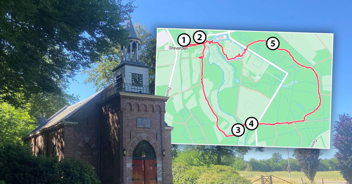 WANDELROUTE | Wandelen op de Veluwe: bos, beekjes en bruidsparen op landgoed Staverden ...