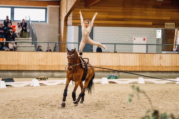 Joske brak haar kuitbeen op een galopperend paard, maar mag toch naar ...