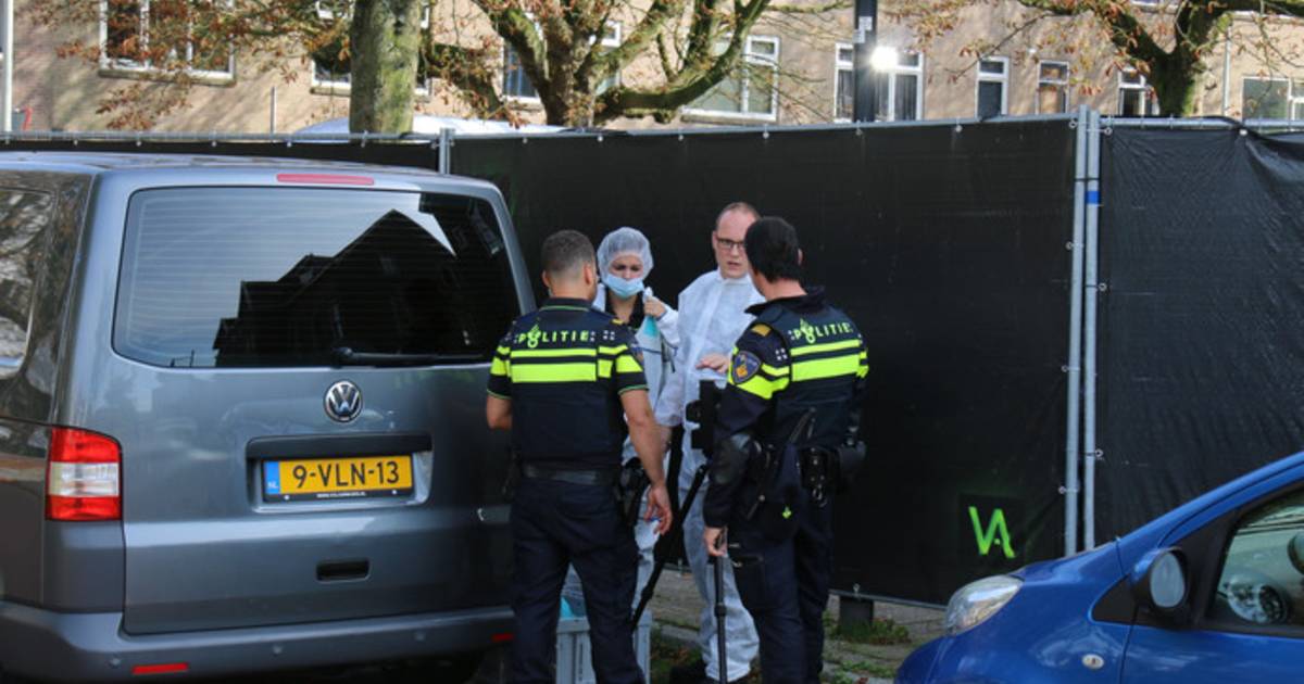 Patholoog-anatoom: ‘Geweld op hoofd was niet doodsoorzaak transvrouw ...