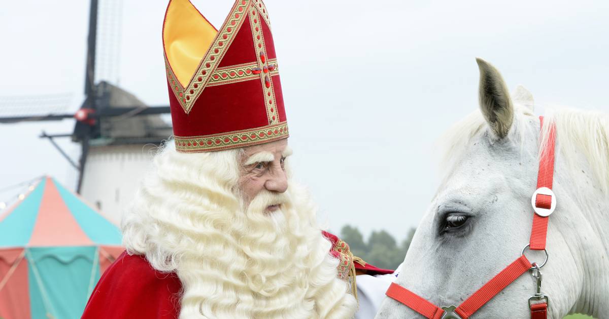 Bram van der Vlugt: ‘Ik wil dat de Sint soms een vies woord zegt ...