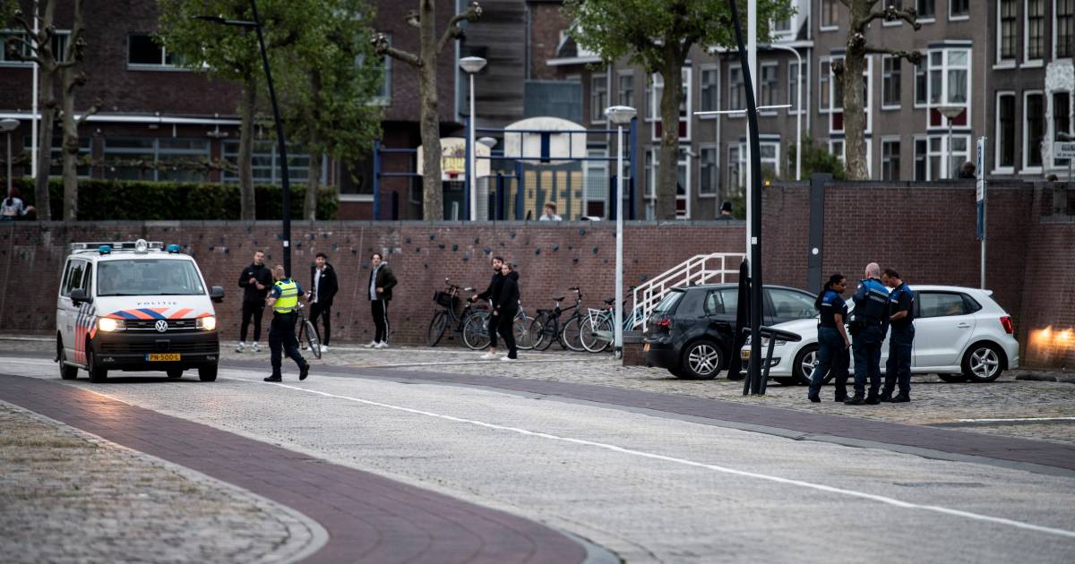 Harde muziek, huisfeesten en schreeuwende mensen: veel meer ...