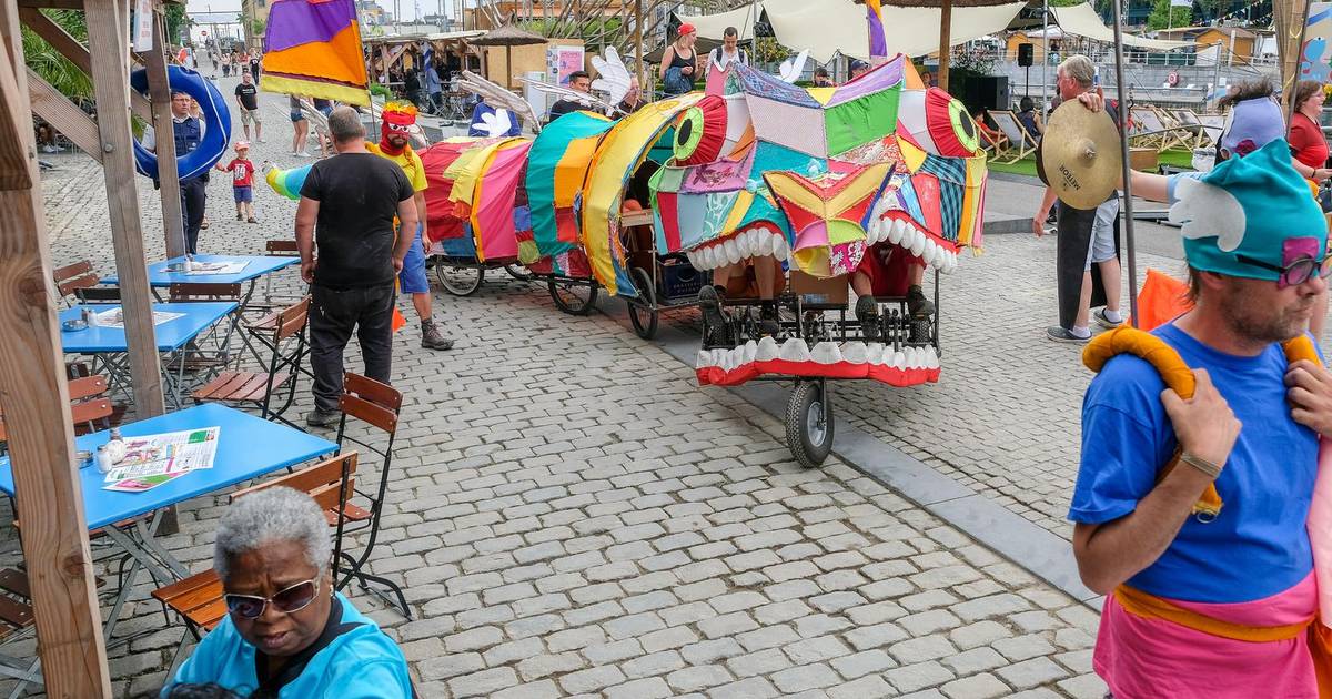 Zeemonster Dragobus spoelt aan | Brussel | hln.be