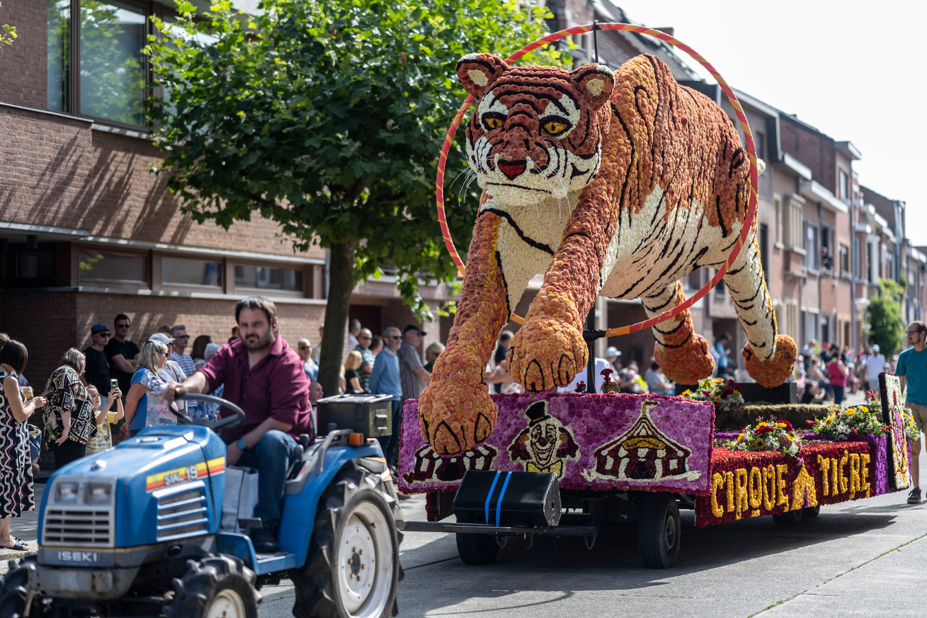 Corsogroep Otterstraat kaapt eerste prijs bloemencorso weg | Foto | hln.be Corsogroep Otterstraat kaapt eerste prijs bloemencorso weg | Foto | hln.be