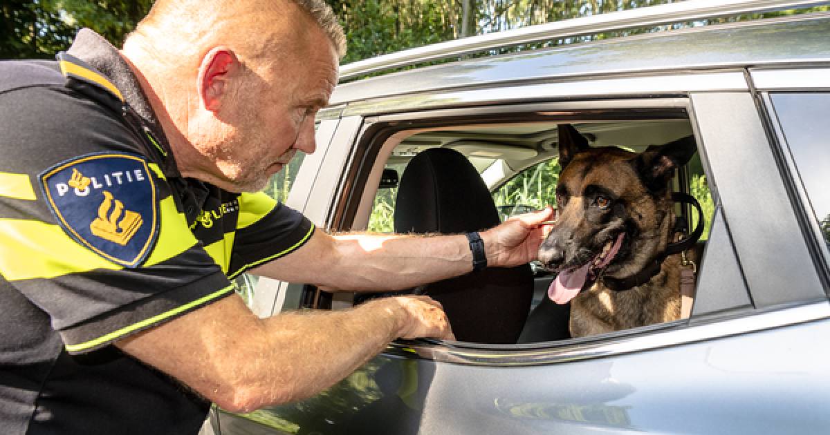 Politie is helemaal klaar met baasjes die hun hond ‘even’ in snikhete ...