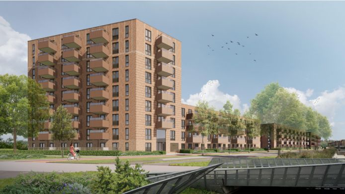 Door vooraf gemaakte bouwpaketten worden deze nieuwe Capelse woningen ...