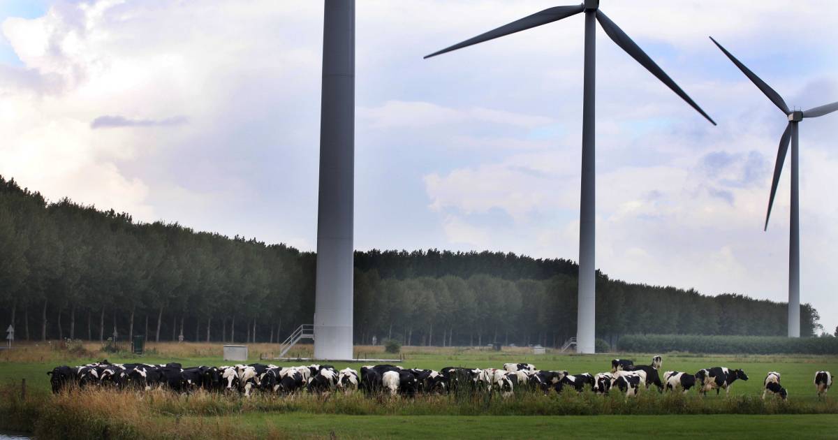 Zo ziet ons platteland eruit ná de stikstofcrisis | Binnenland | AD.nl Zo ziet ons platteland eruit ná de stikstofcrisis | Binnenland | AD.nl