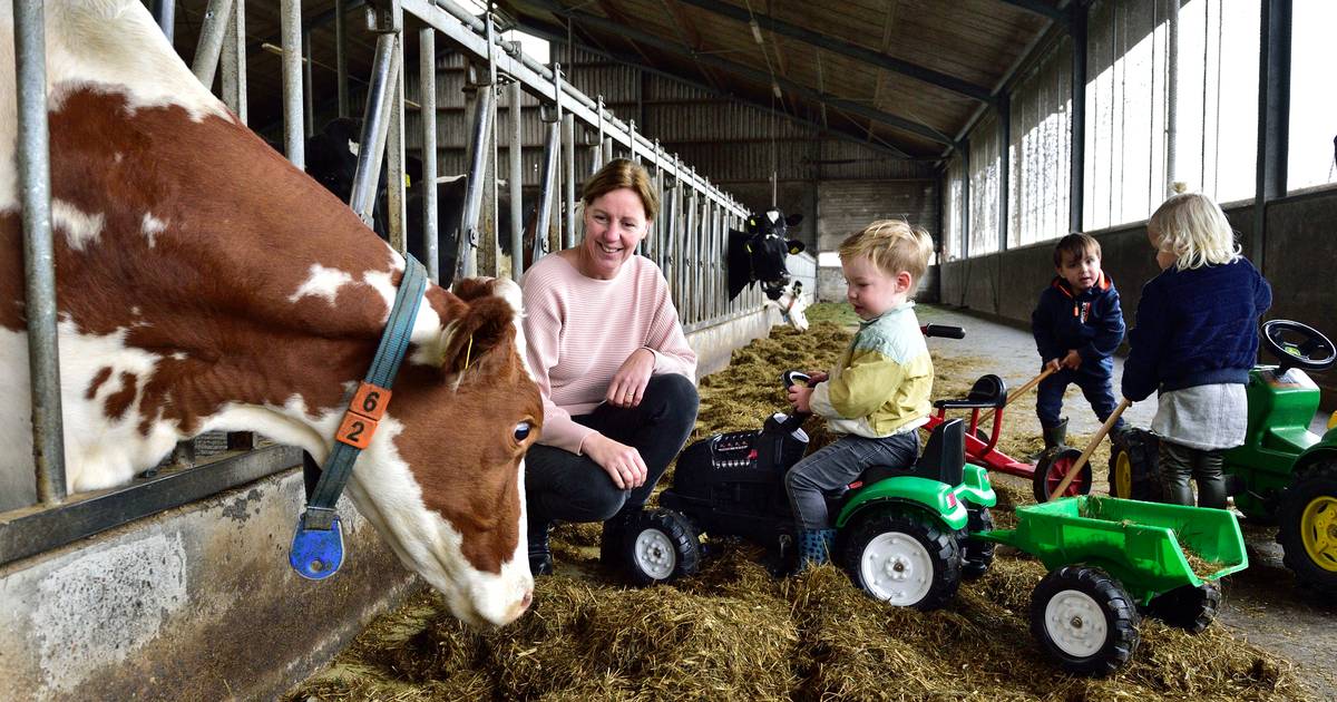 Steeds meer boeren houden naast koeien en varkens ook kinderen ...